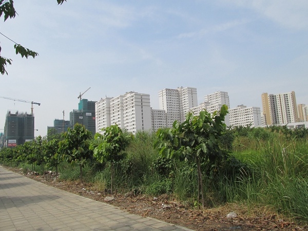 “Ôm” nhiều đất vàng, CII loay hoay ở ngã ba đường